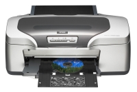 Epson Stylus Photo R800 - erster Test - EPSON Stylus Photo R800 ...